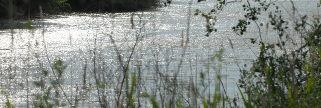 Activités autour du fleuve de l'Aude - La mairie d'Azille : La mairie d ...