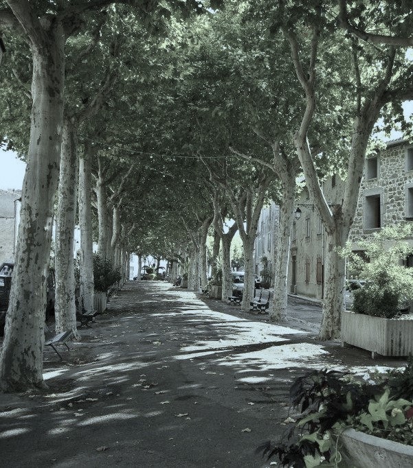 La promenade - La mairie d'Azille : La mairie d’Azille